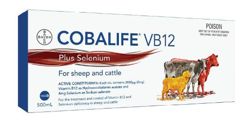 COBALIFE VB12 PLUS SELENIUM 500ML – Gidge Rural